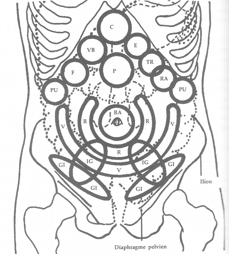 Chi neï tsang - La Maison du Mieux-Etre à Moulins dans l'Allier